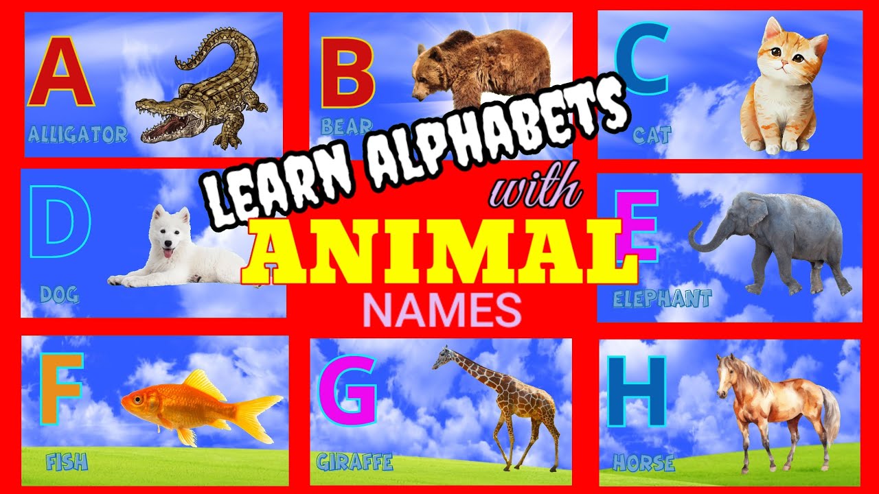 learn alphabets with animal names |animals for kids | a2z learn with ...