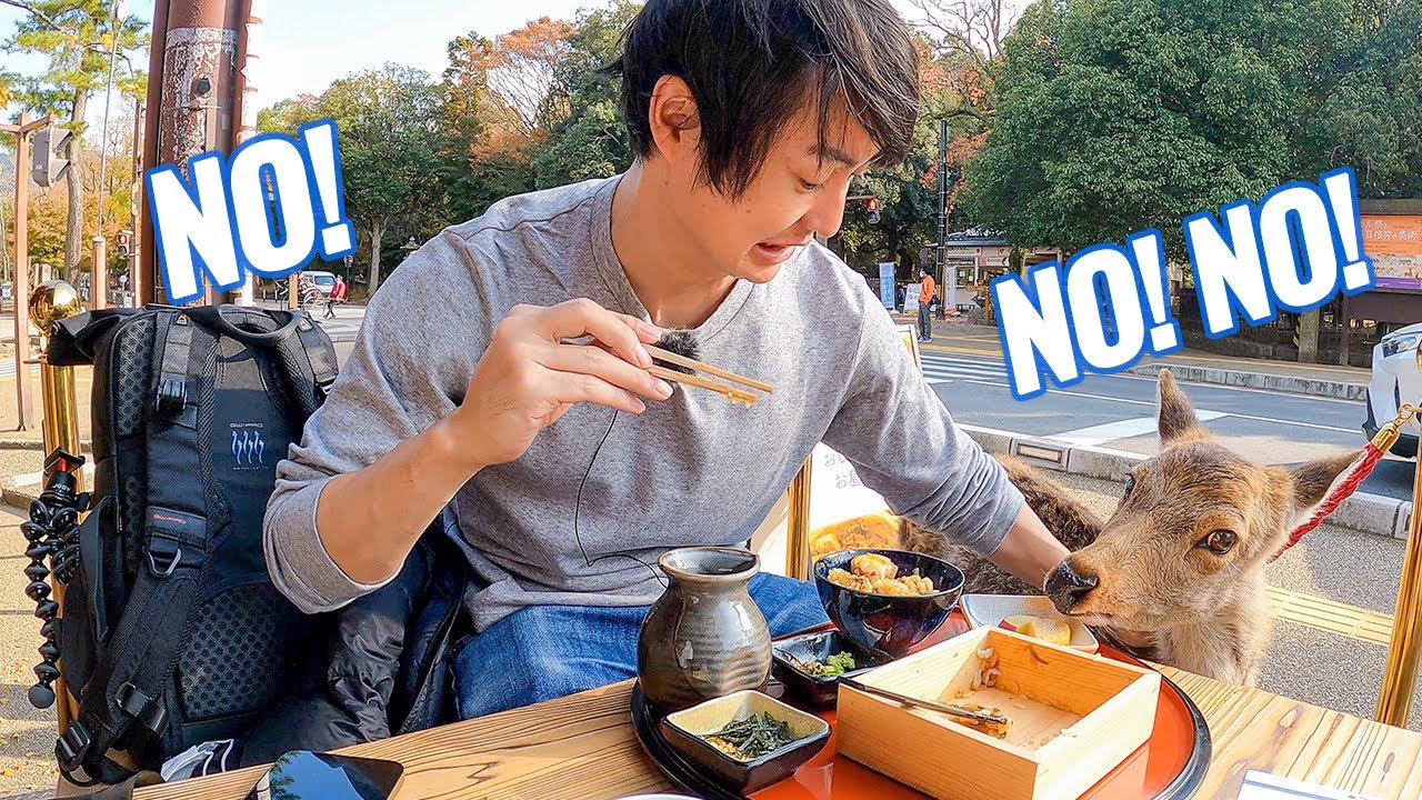 A Day in the Life of Japanese Travel YouTuber in Nara #269 - YouTube