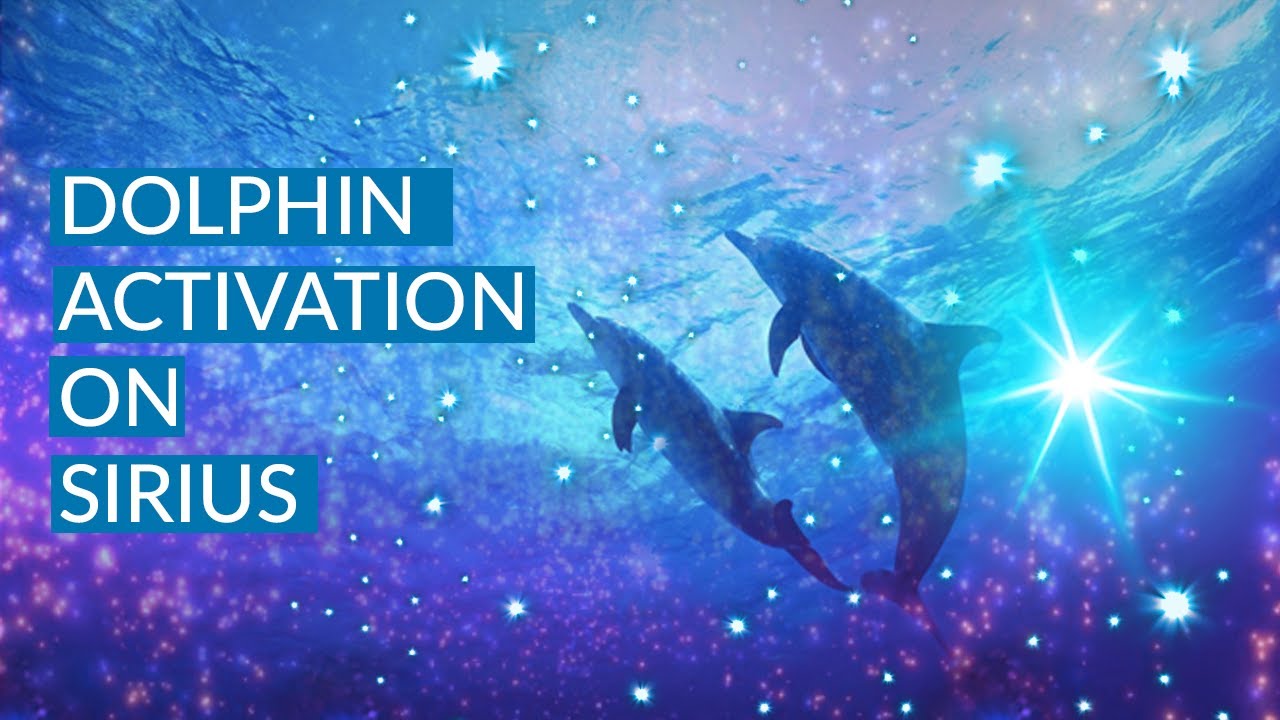 Dolphin Activation on Sirius | Blue Ray Dolphin Teachings and Heart ...