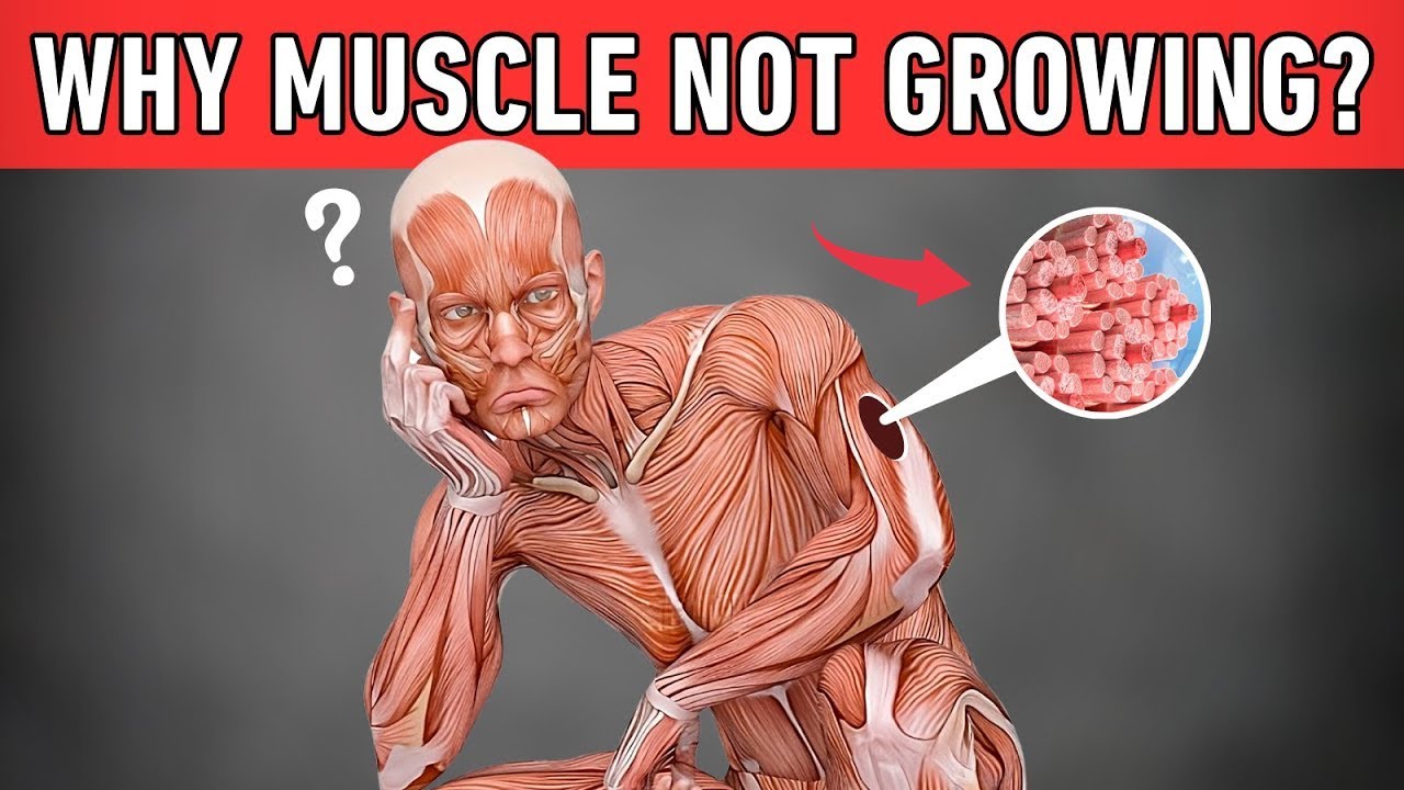 Top Reasons Why Your Muscles Are NOT Growing And How To Fix It - YouTube