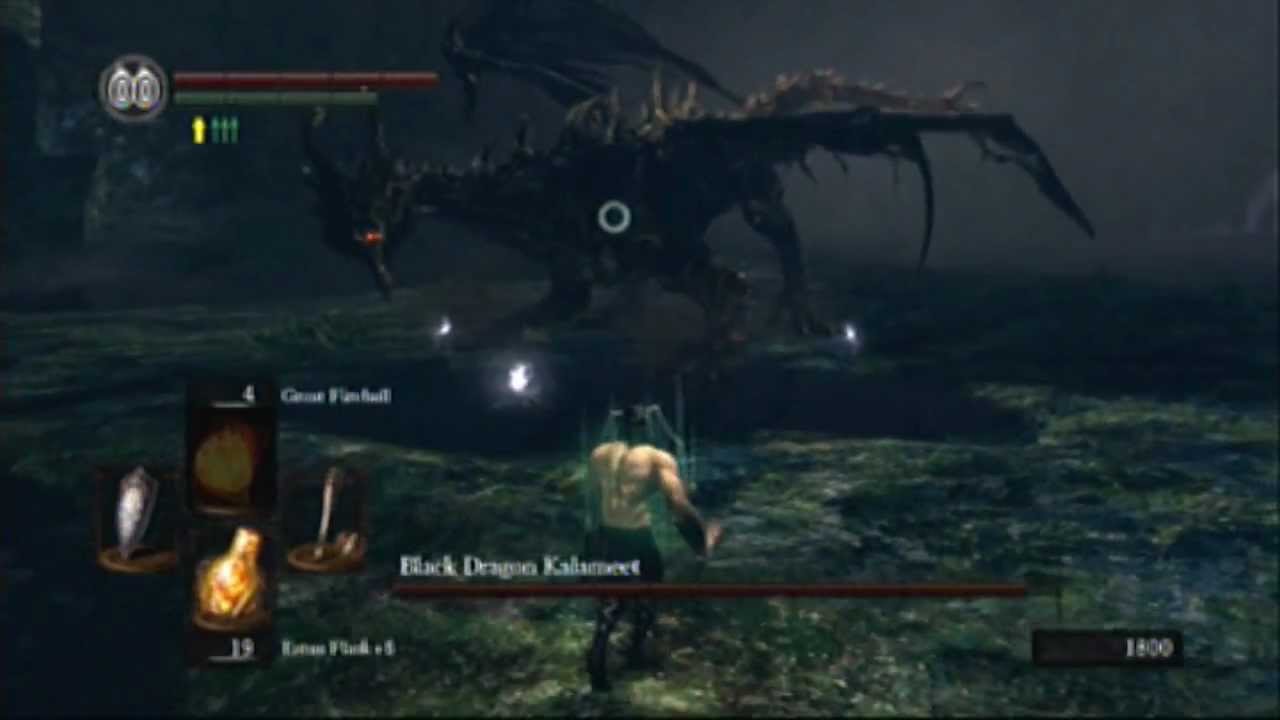 Black Dragon Kalameet (Cutting off Tail - Getting the Obsidian ...