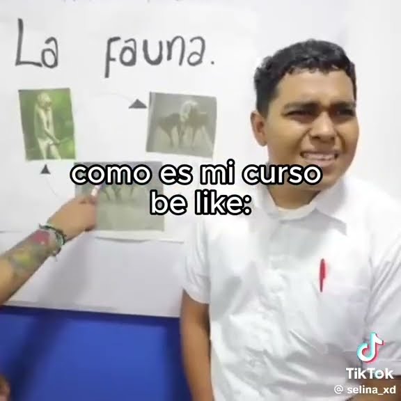 Haci es mi curso xd 🗿👍 - YouTube