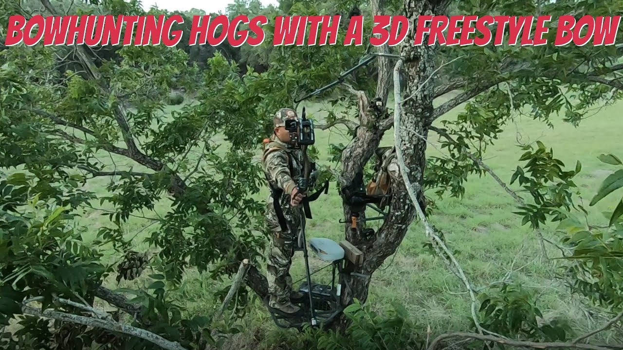 Prime Inline 5 3D Freestyle Target Bow and Bowhunting Texas Hogs - YouTube
