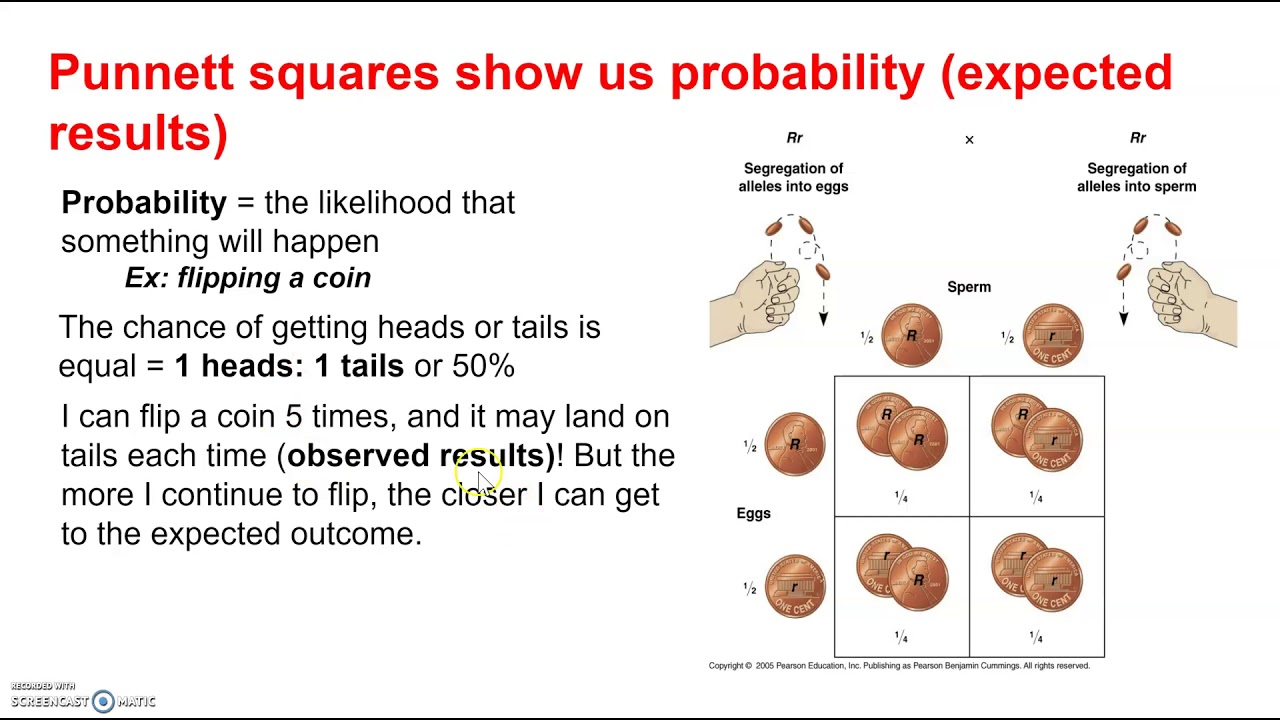 Mendel's Expeiments - Expected vs. Observed - YouTube