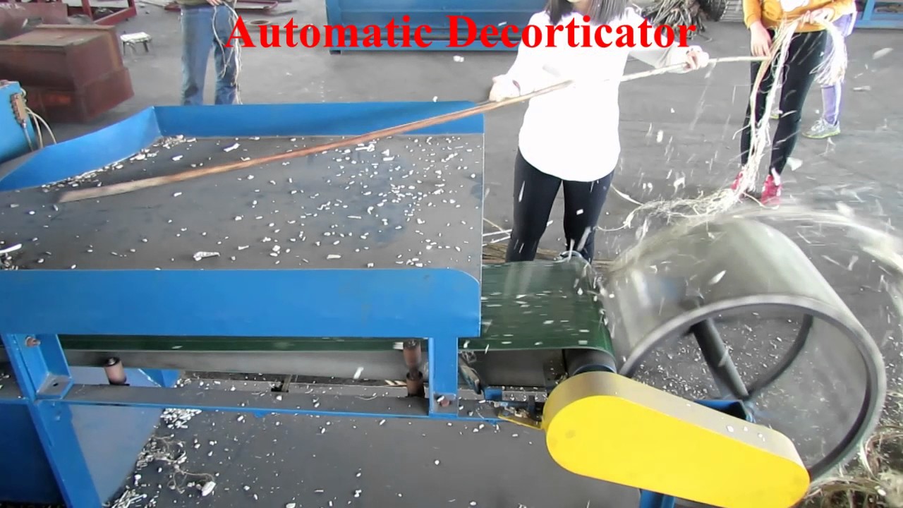 The production line for fiber decorticator and fiber cleaning -hemp ...