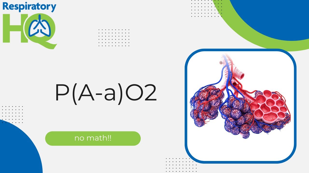 P(A-a)O2 without the math - YouTube
