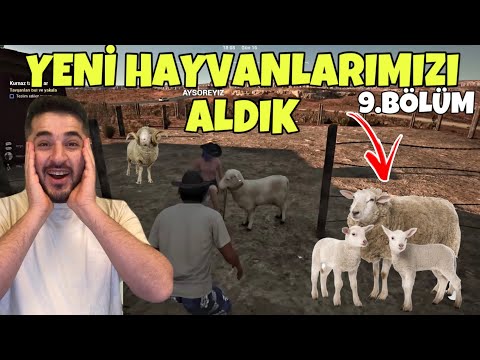 ÇİFTLİĞE YENİ GÜNCELLEME, YENİ HAYVANIMIZI AHIRA KOYDUK! -RANCH SIMILATOR 4.SEZON 9.BÖLÜM