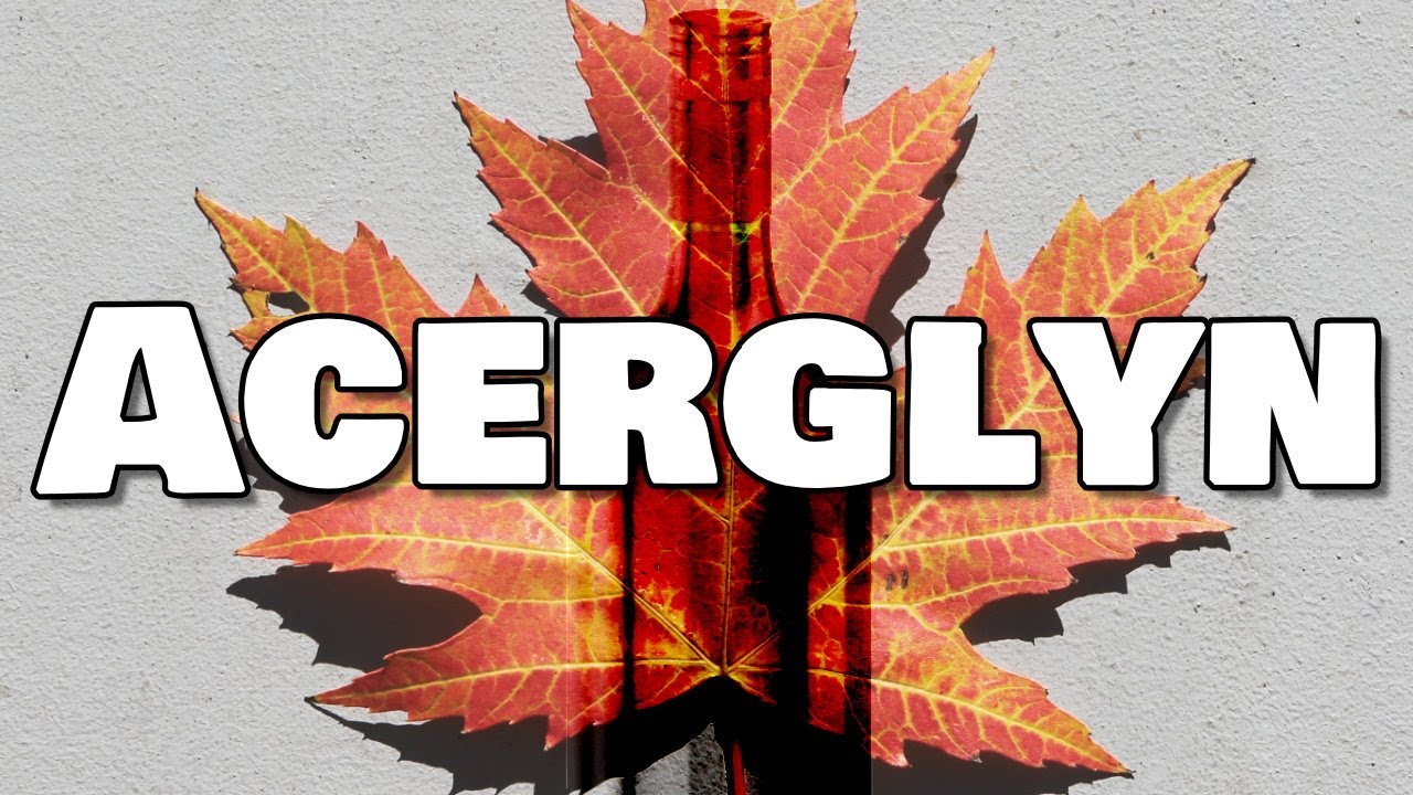 Acerglyn Maple Mead One Year Tasting! - YouTube