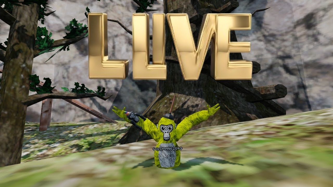 PLAYING GTAG WITH YOU AND OTHER GAMES - YouTube