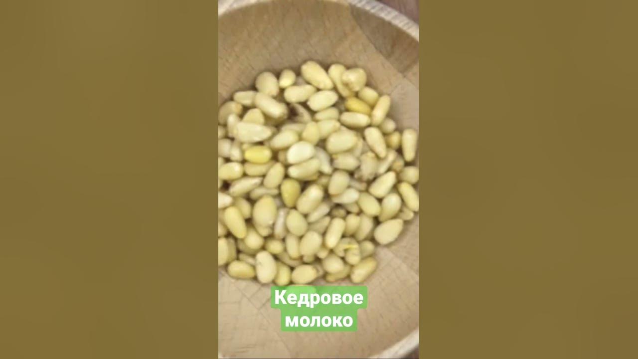 Кедровое молоко - YouTube