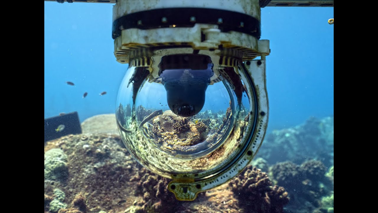 Aqualink | MEGA Lab | Hawaii live stream - YouTube