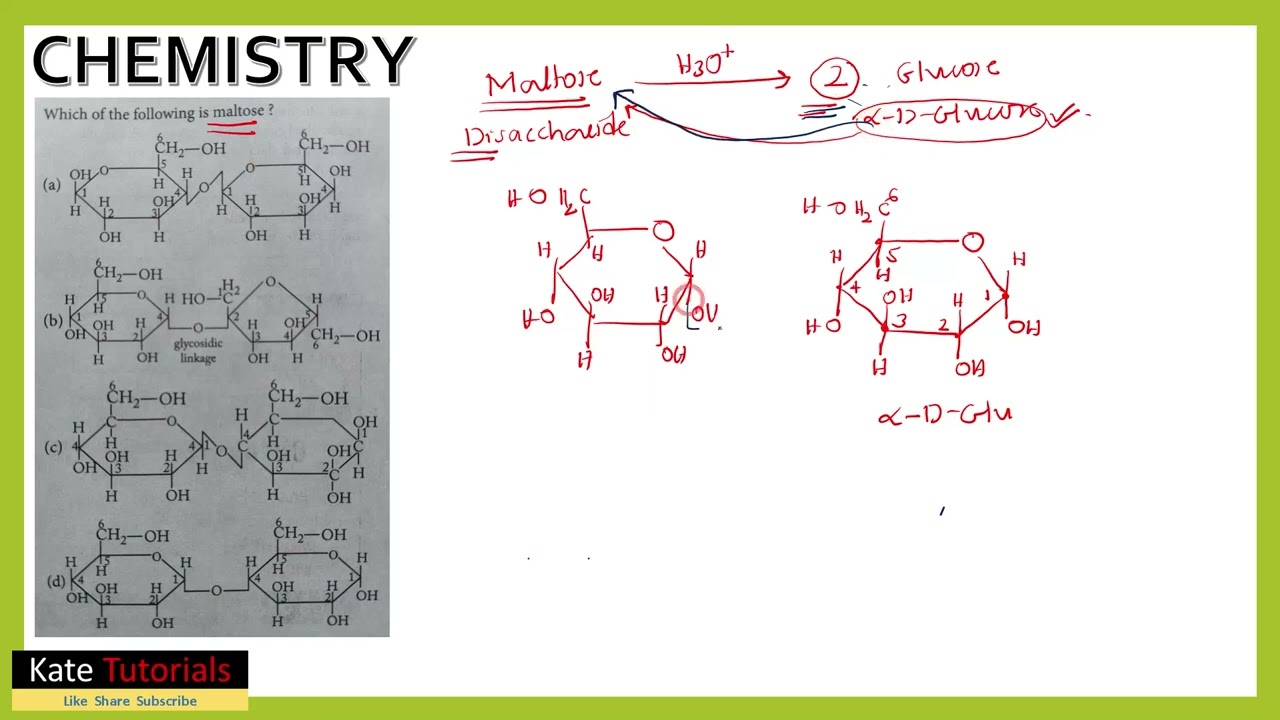 Chemical Structure Of Maltose Sugar