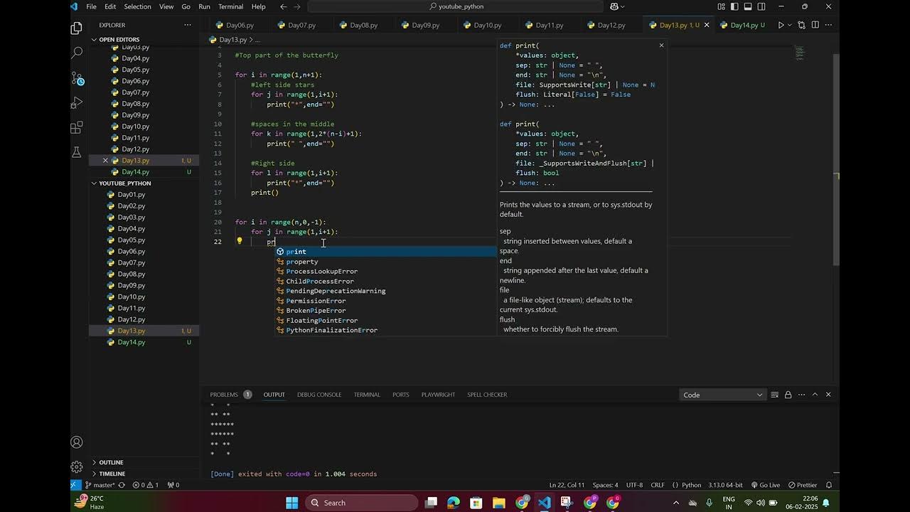 Day 13 Python Problem Solving Butterfly Pattern - YouTube