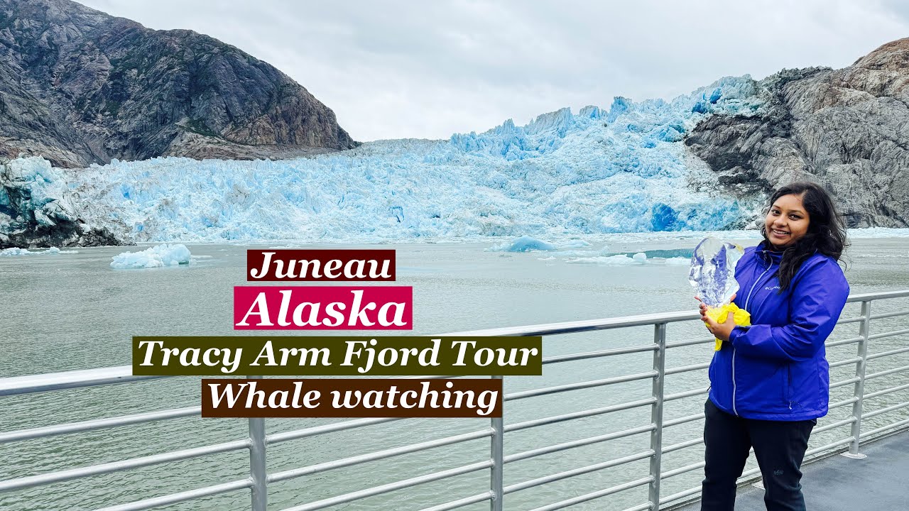 Juneau, Alaska - Tracy Arm Fjord Tour, Whale watching and Glacier view ...