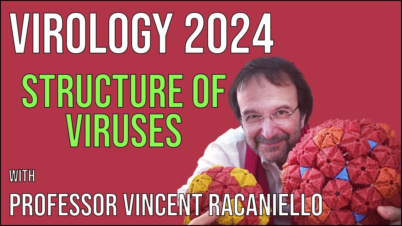 Virology Lectures 2024 #4: Structure of viruses - YouTube