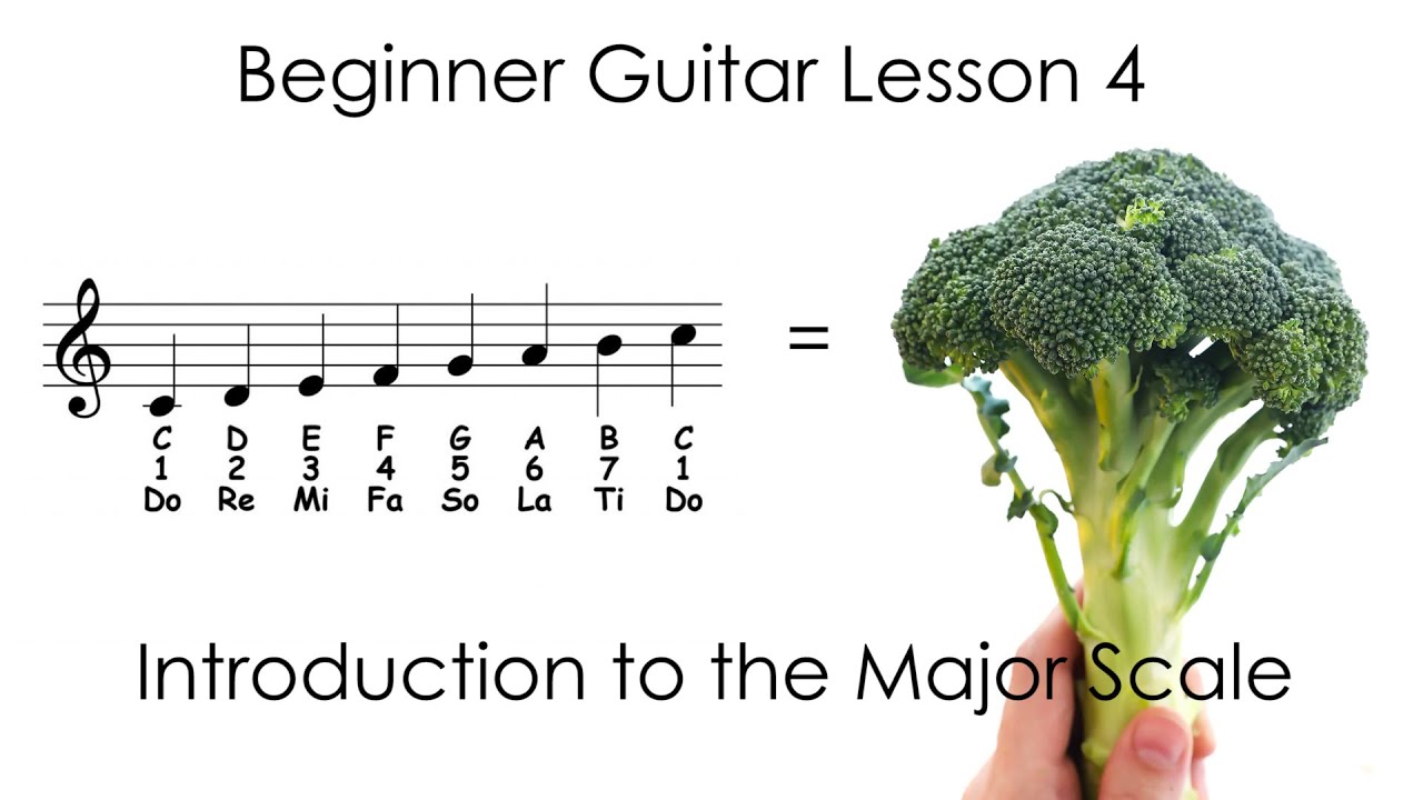 Introduction to the Major Scale|L4|Beginner Guitar Lessons - YouTube