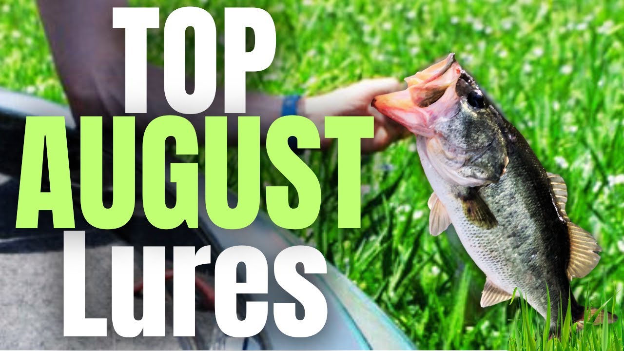 Bass CAN'T Resist These AUGUST LURES - YouTube