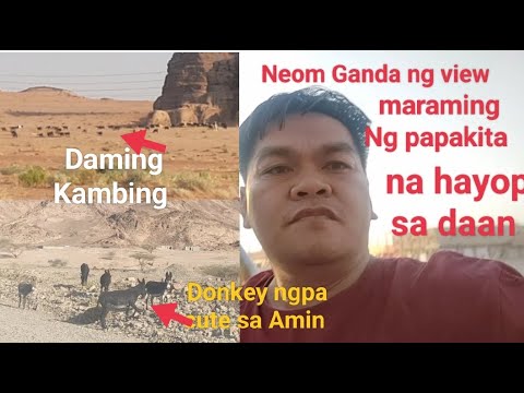 Road to Neom The New City of KSA Tabuk Sharma - YouTube