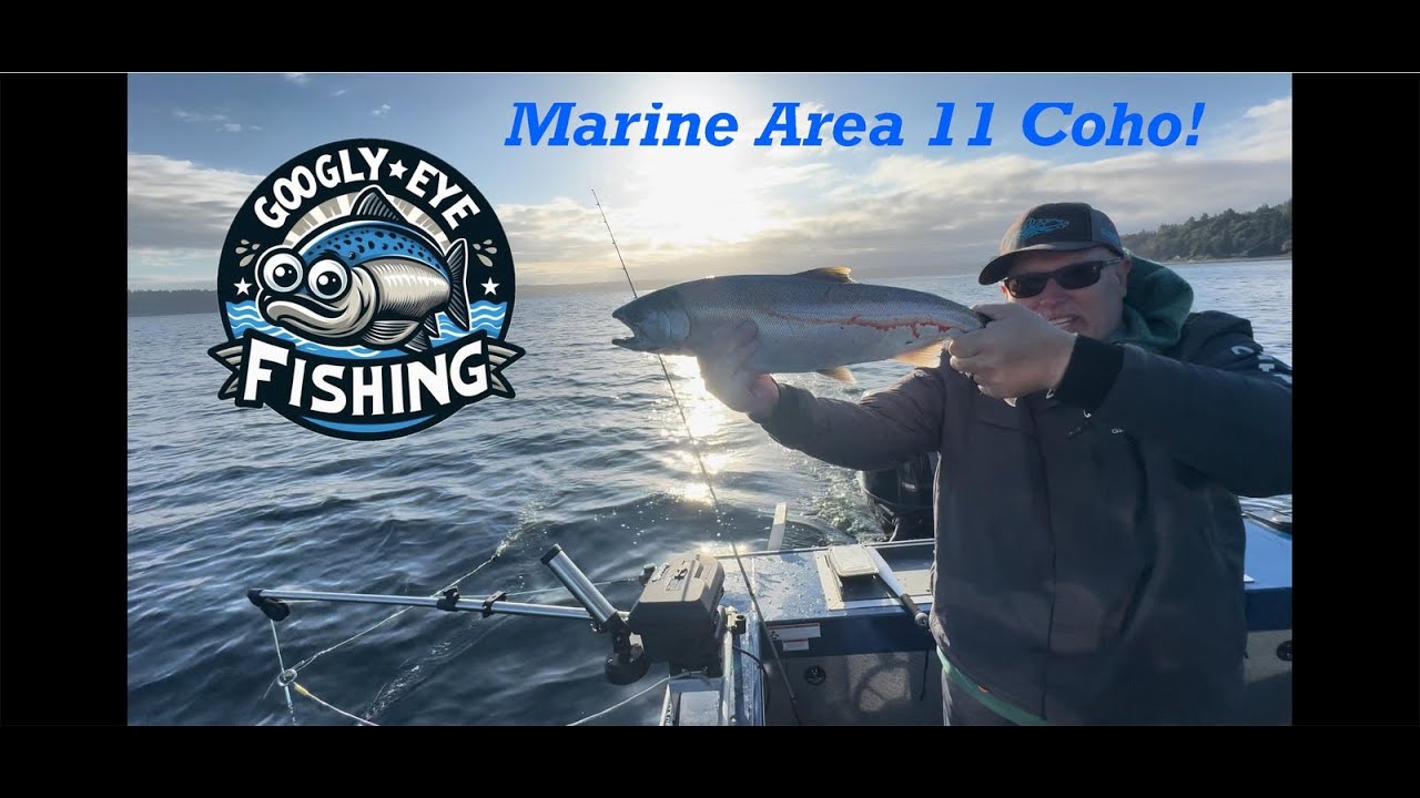 Puget Sound | Marine Area 11 Coho | September 29, 2024 - YouTube