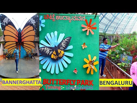 Butterfly Park Bangalore | Bannerghatta | Timings | Entry Ticket Price ...