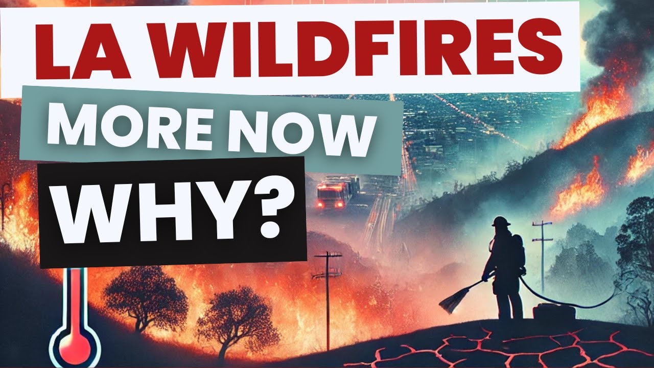 Why Wildfires in LA Are Getting Worse: Causes, Challenges, and How We ...