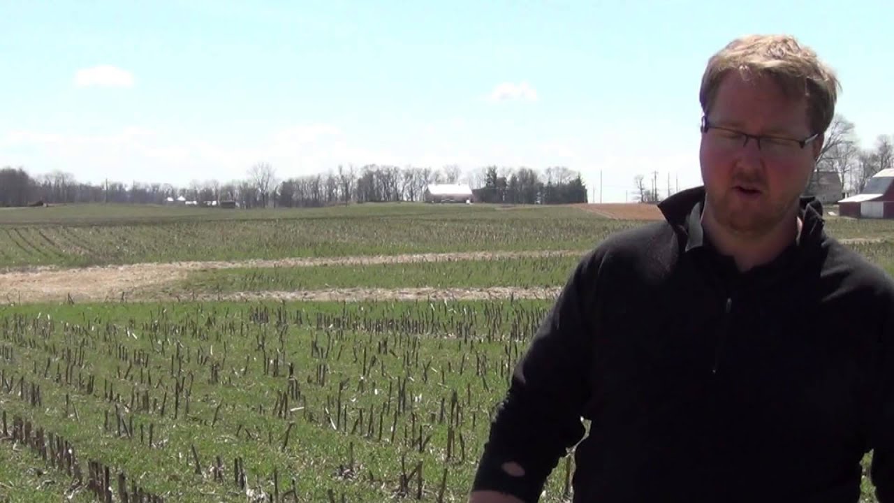 Zach Cain Cover Crops - YouTube