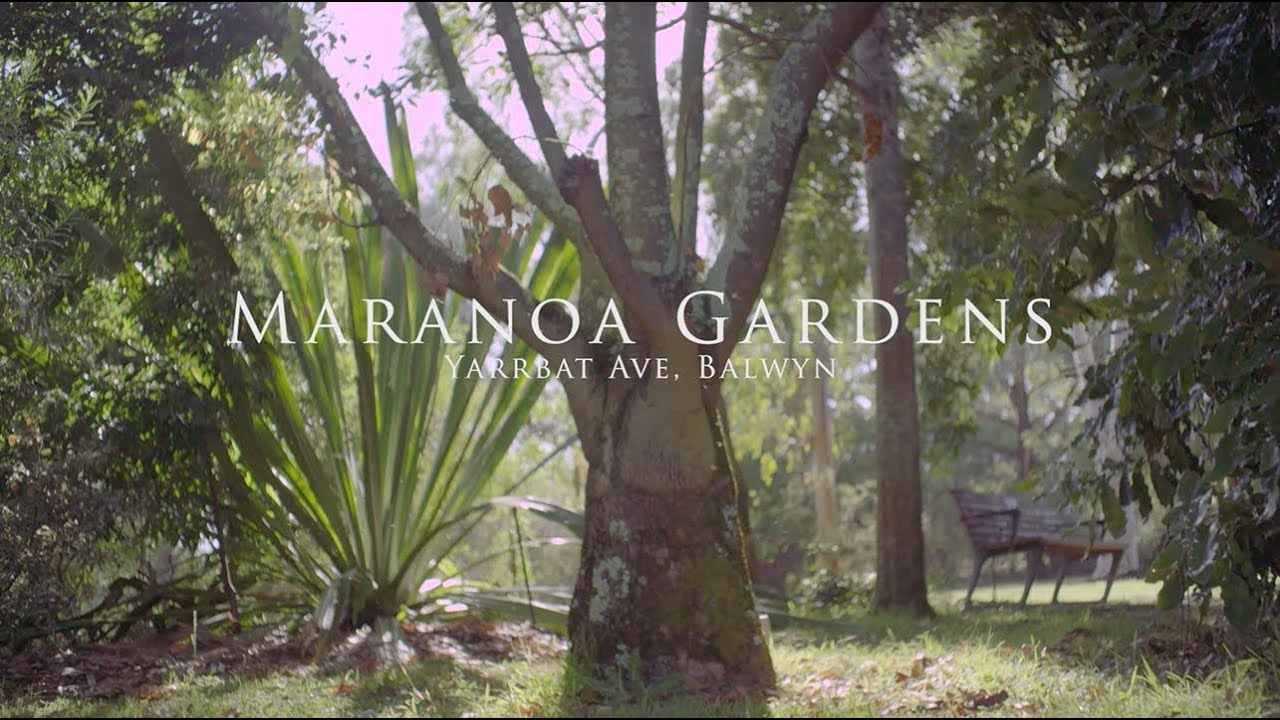 Local Government Promotion - Maranoa Gardens - YouTube