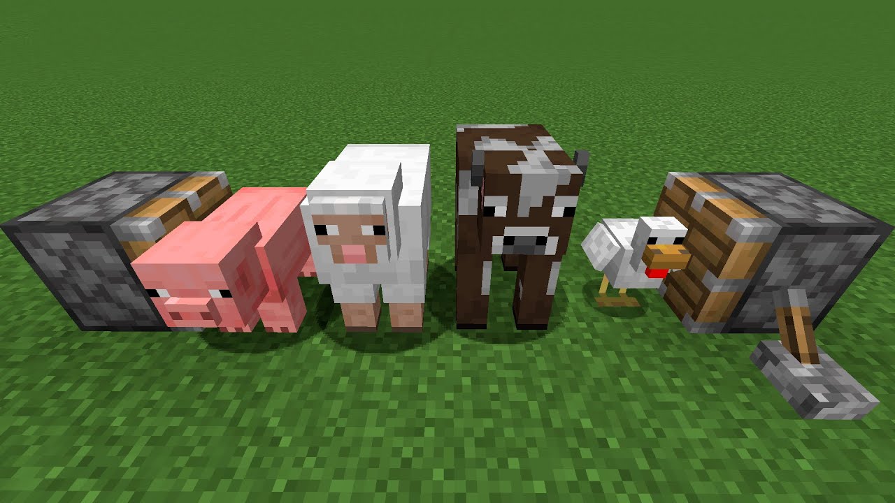 Pig + Sheep + Cow + Chicken = ??? - YouTube