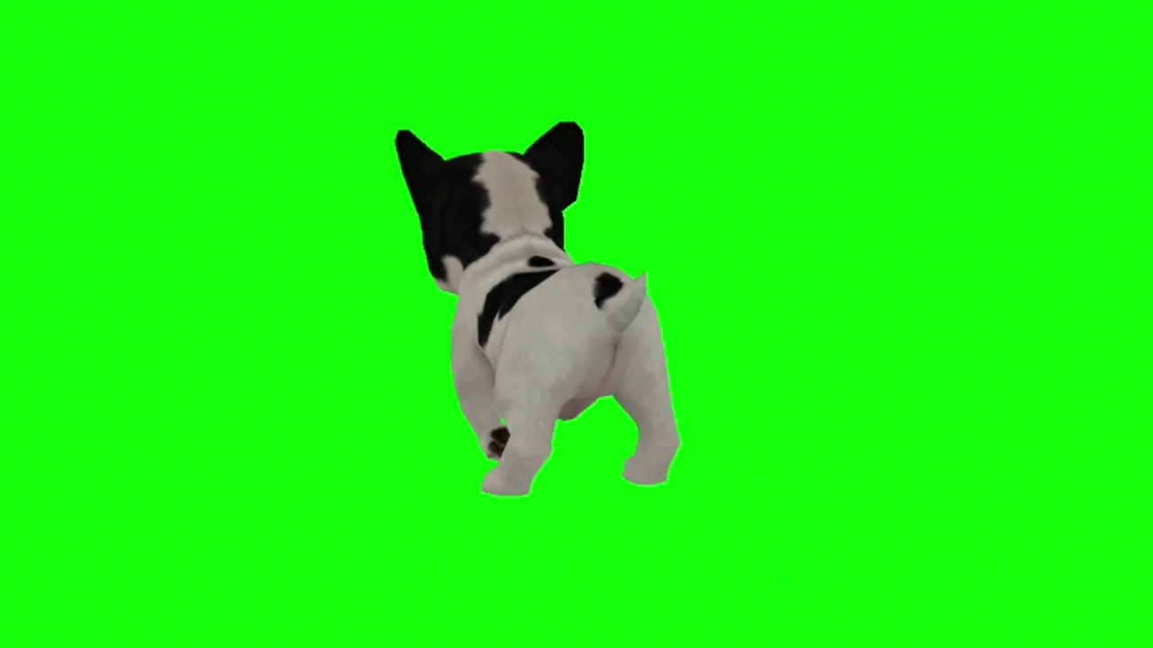 Running dog green screen for cartoon animation making। Cartoon Green ...