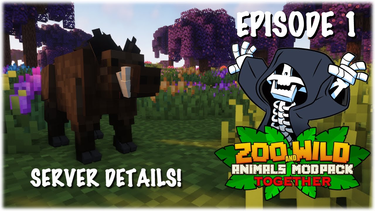 Join Me On This EPIC Zoo Building Adventure! - Minecraft SMP: Zoo and ...
