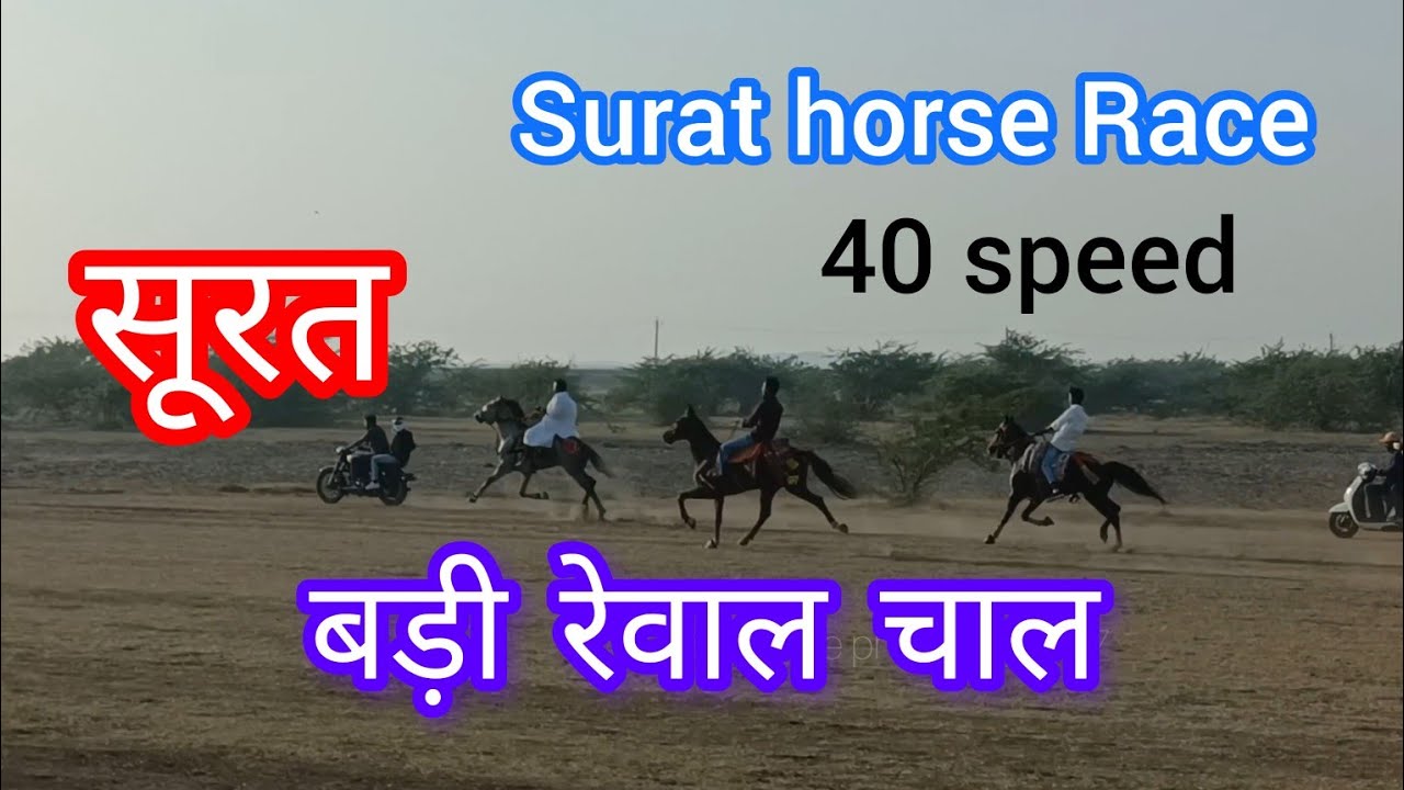 surat horse race 2023 सूरत घोड़े की रेवाल रेस Rewal horse Race - YouTube