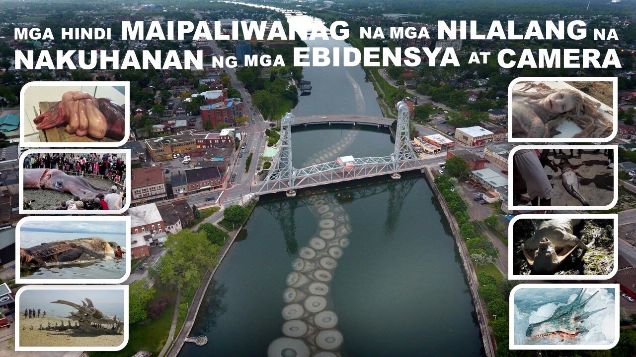 Hindi Maipaliwanag na mga Nilalang na Nakuhanan ng mga Ebidensya at ...