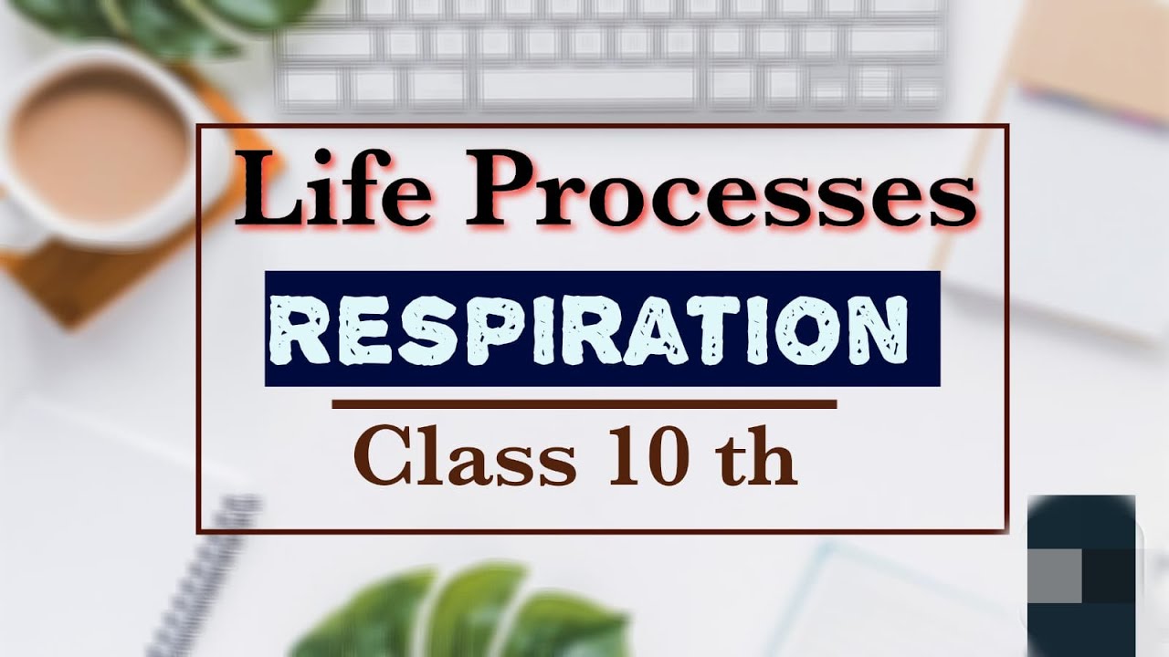 Life Process [ Respiration ] Class 10th | NCERT | By Shivam Sir - YouTube