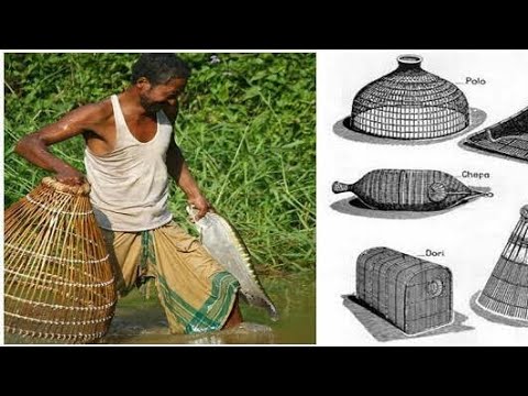Assamese traditional fishing technique - YouTube