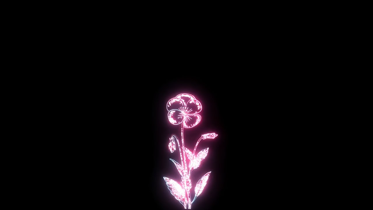 Flower glow and shine black screen effect | flower black screen - YouTube