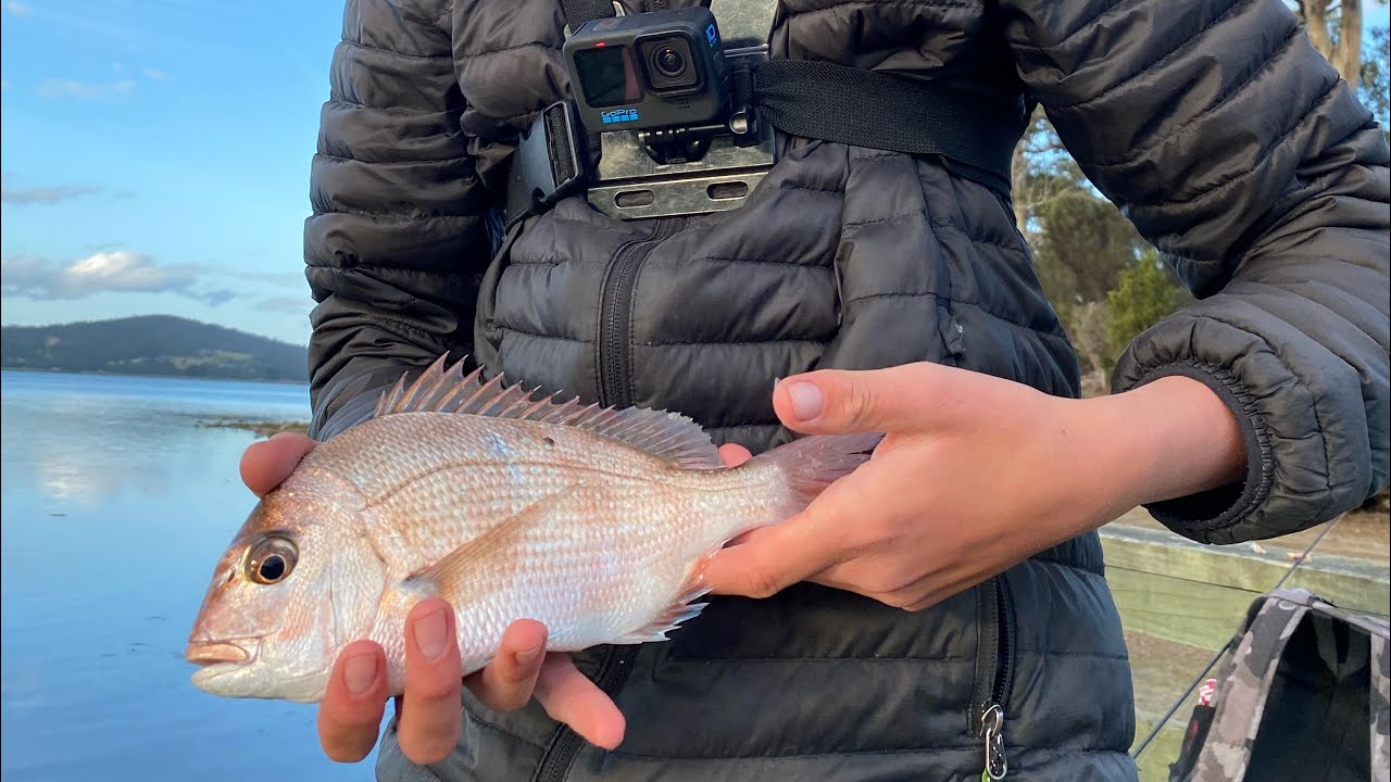 My first Land based snapper fishing St Helens Tasmania - YouTube
