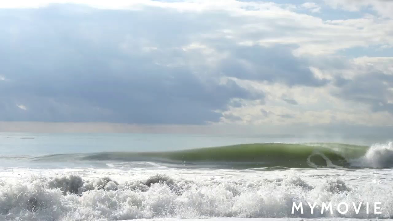 Life is a wave which in no two consecutive moments of its existence is ...