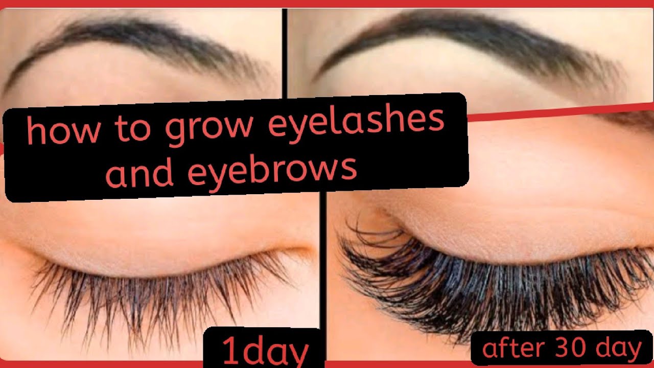 how to grow long eyelashes and eyebrows Naturally//healthy eyelashes ...