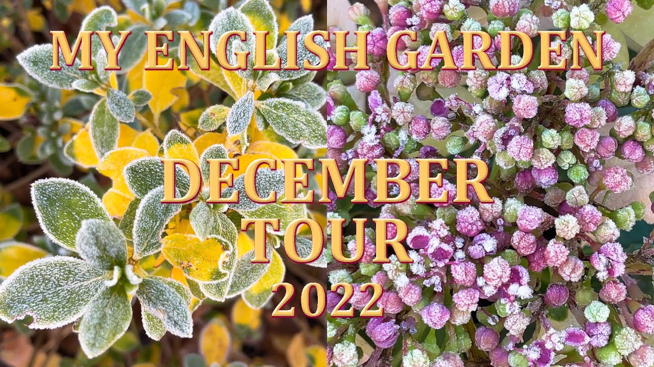 Winter December Tour - My English Garden - 2022 - YouTube