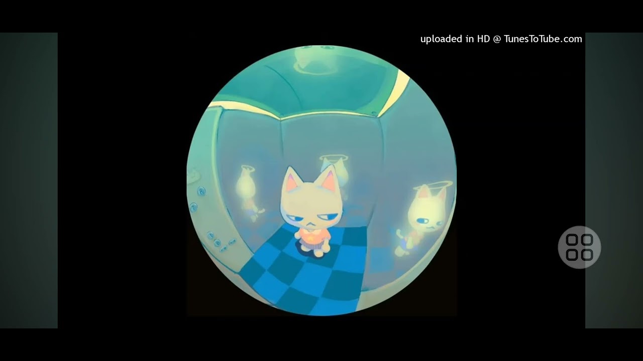 Hakio gato de Corea de sur us gato que está bajado para llega canal HD ️ 4k pantallas bien ...