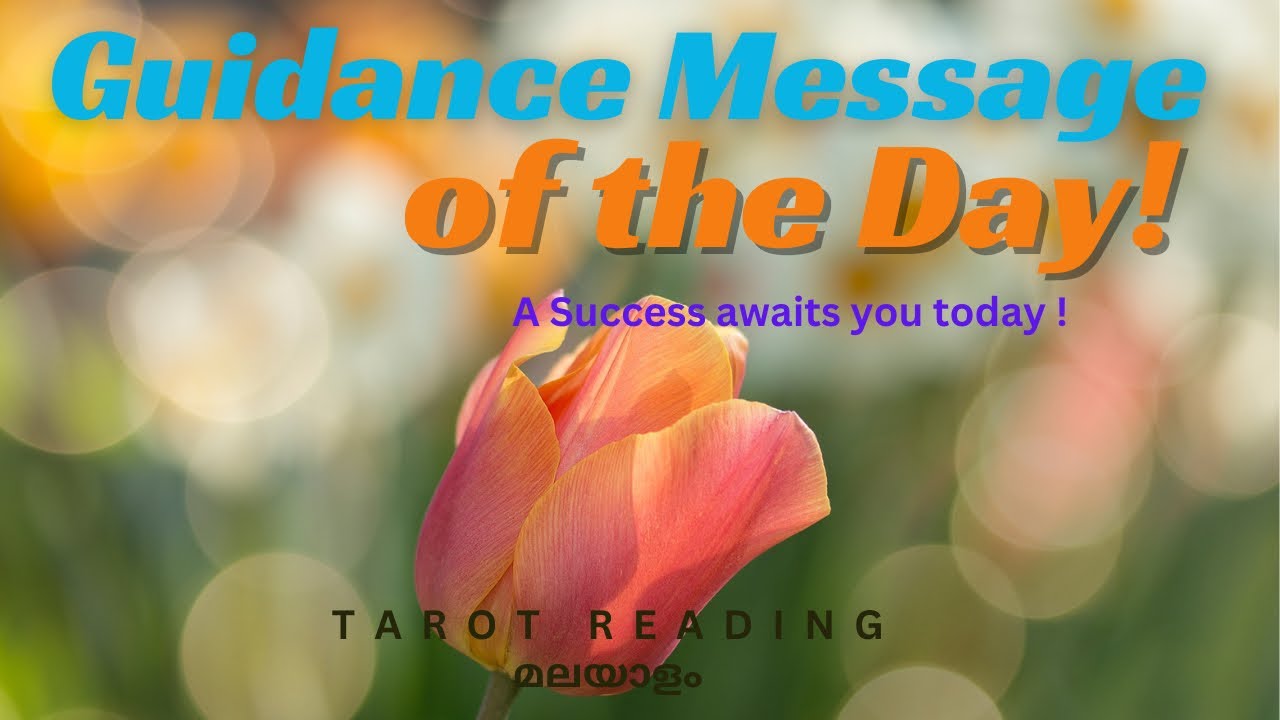 Universal Guidance Message of the day! The Messages you need to know ...