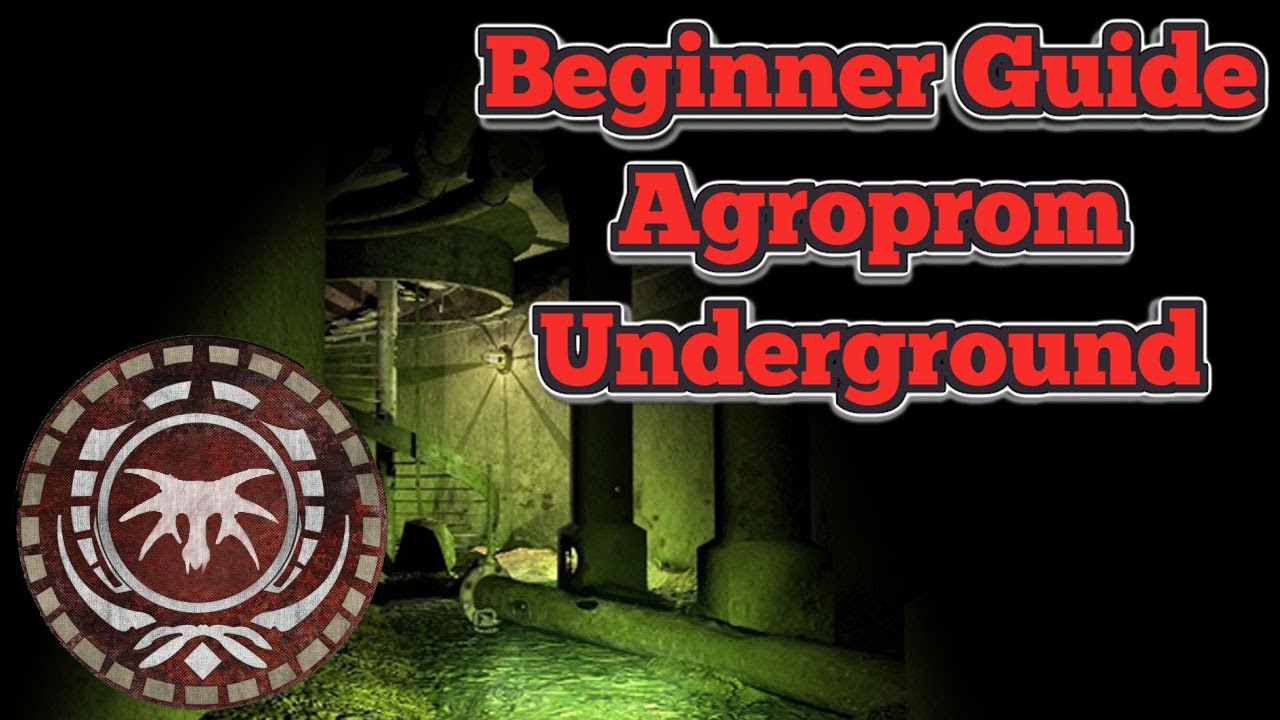 Stalker GAMMA Beginner Guide: Agroprom Underground - YouTube