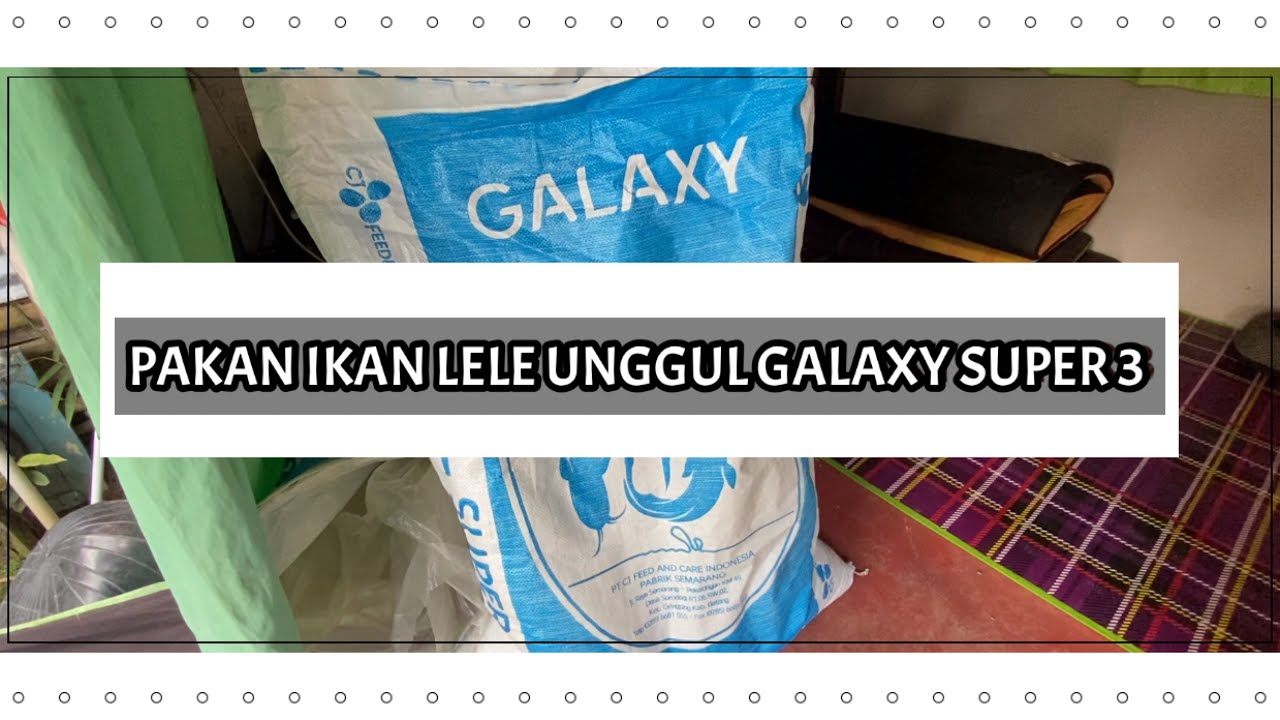 Pakan Ikan Lele Unggul Galaxy Super 3 Untuk Kolam Budidaya Pak Jali ...