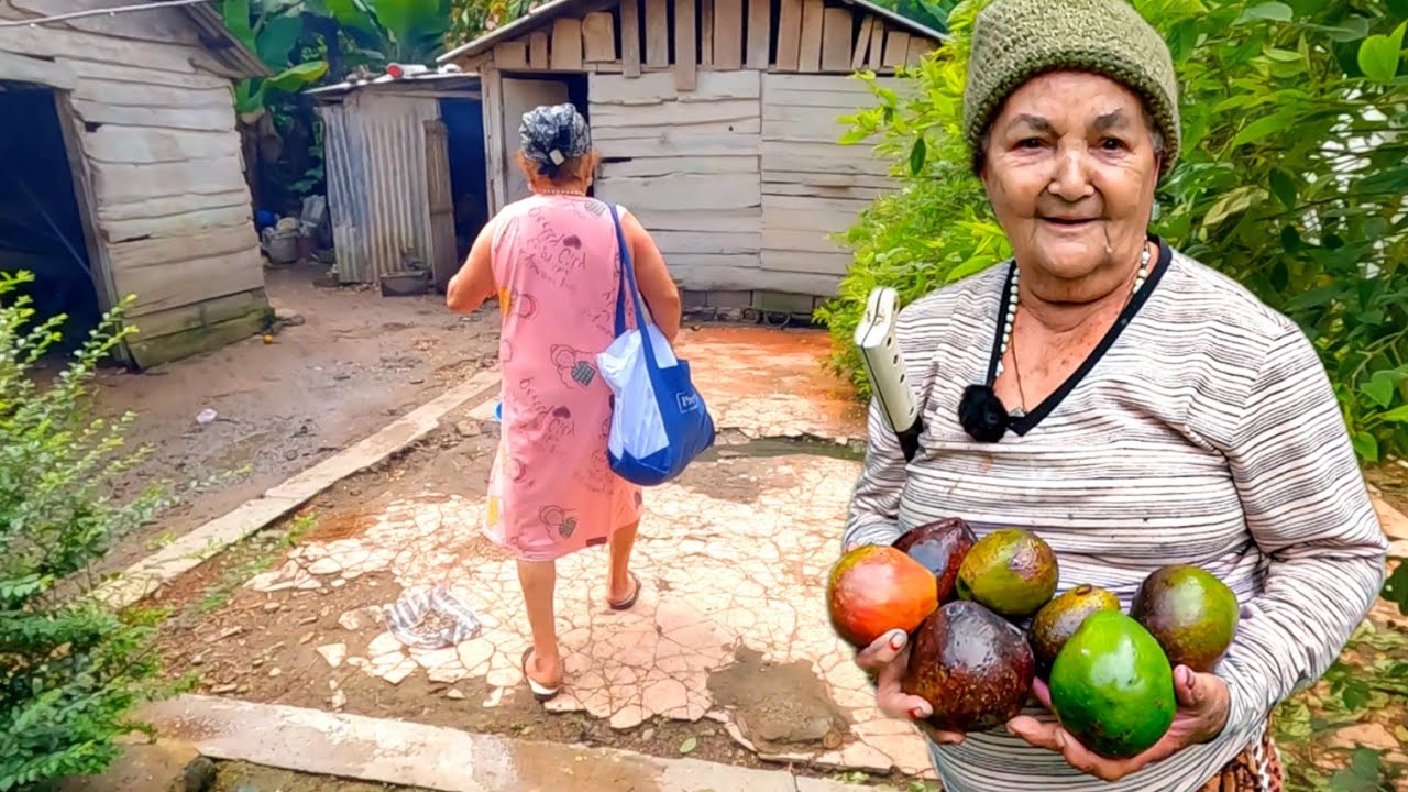INCREÍBLE A SUS 85 AÑOS AMANTINA SE FAJA TRABAJAR EN EL CONUCO - YouTube