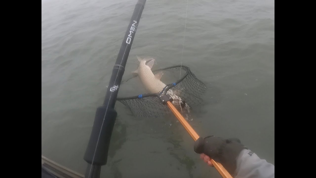 Great Lakes Musky Kayak Fishing - Rough Conditions, Big Predators - YouTube