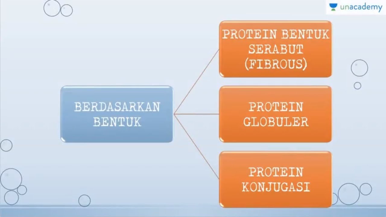 Klasifikasi Protein 1 (Kimia - SBMPTN, UN, SMA) - YouTube