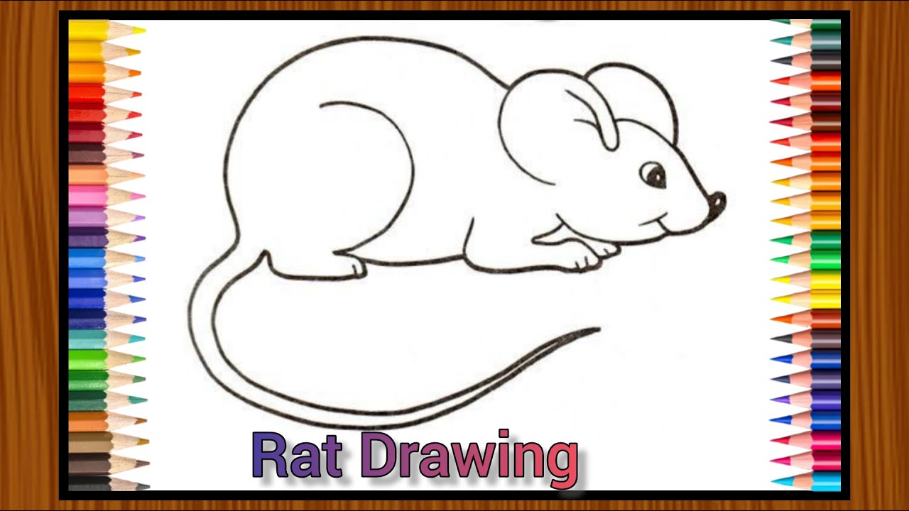 [ Rat Drawing Outline || Kids Drawing Rat Easy ||How To Draw Rat Step ...