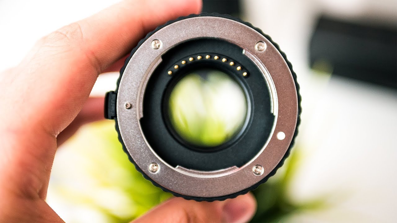 MACRO Photography ON A BUDGET! $50 BEGINNER MACRO SETUP using Macro ...
