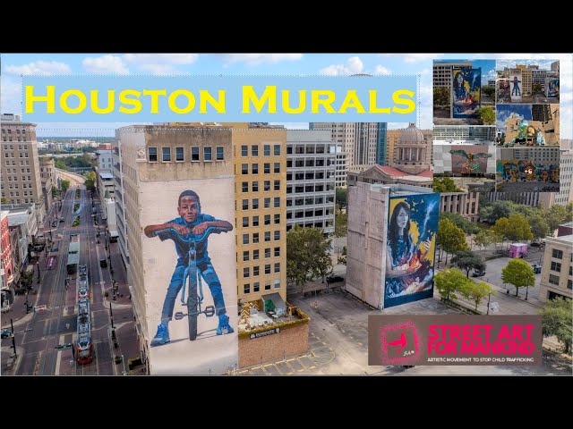 Houston Main Street Art Home