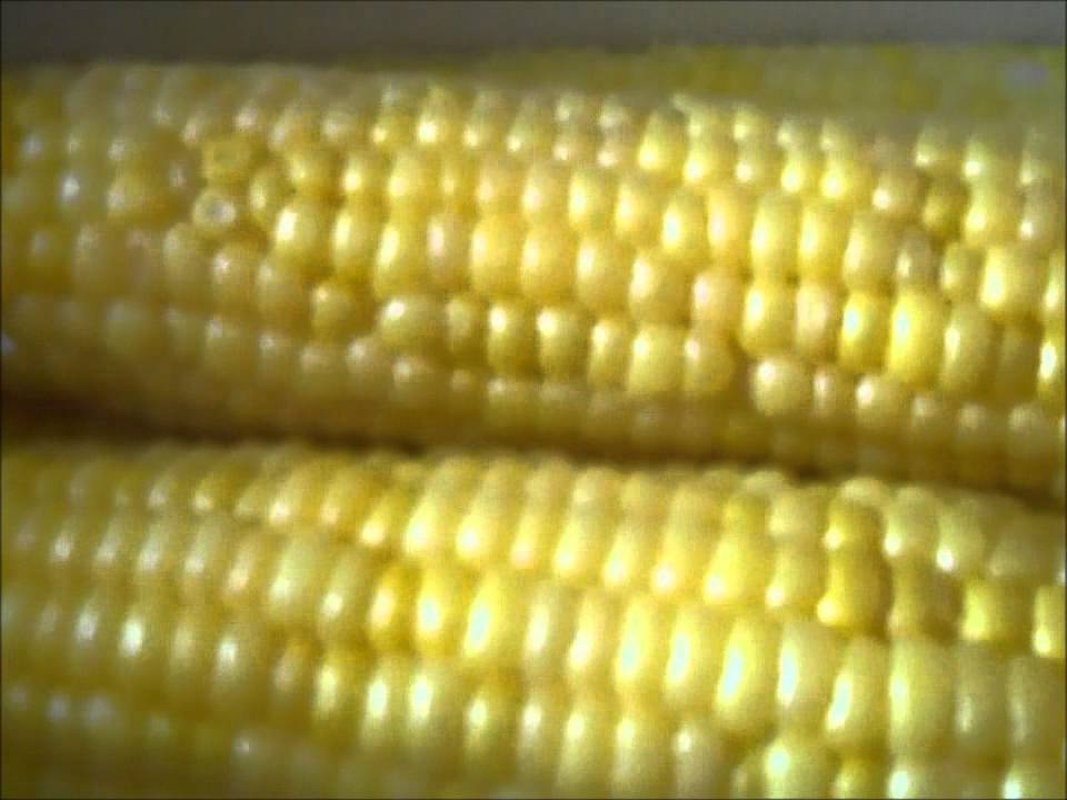How To Make Corn In A Cooler - YouTube